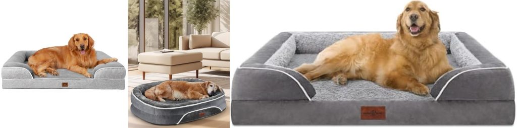 Top 5 Dog Beds for Large Rottweilers: A Buyer's Guide