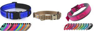 The 5 Best Dog Collars For Frenchies: Ultimate Guide