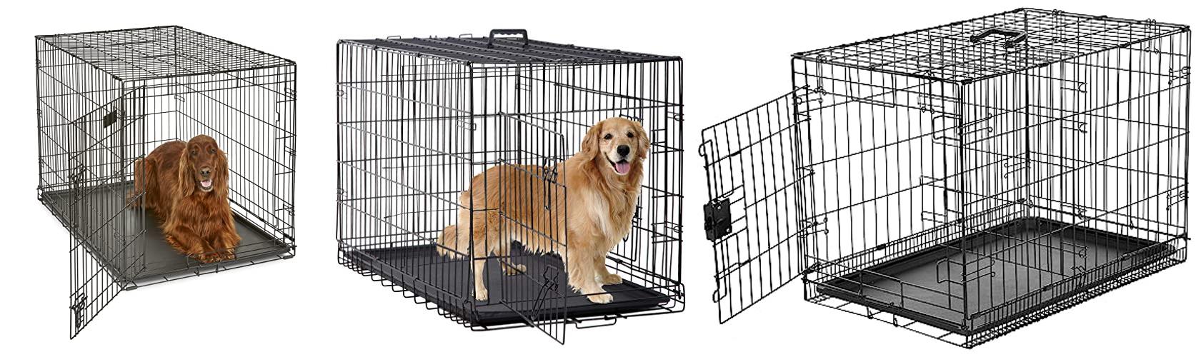 Top 5 Dog Crates For Labrador: Reviews & Buying Guide