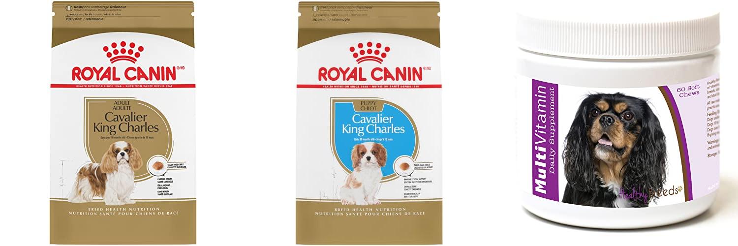 Top 5 Dog Foods for Cavalier King Charles Spaniels: A Review
