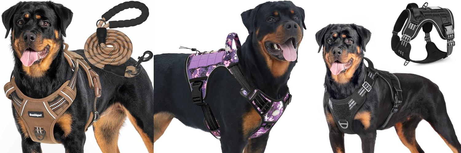 Top 5 Dog Harnesses for Rottweilers: Reviews & Buying Guide