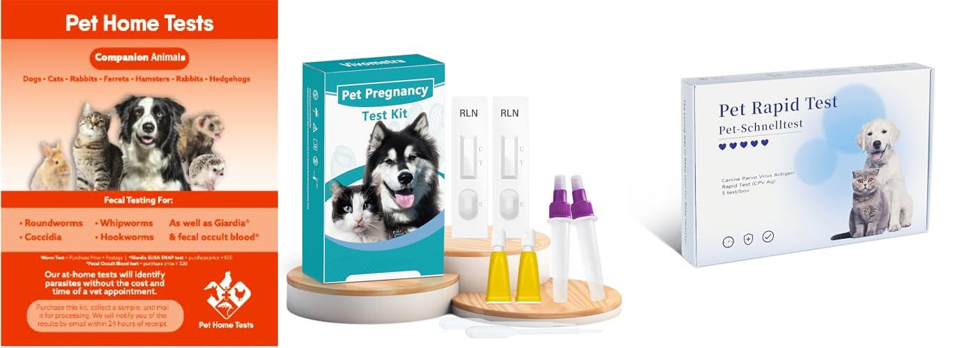 Review: 5 Best At-Home Dog Heartworm Tests in 2023