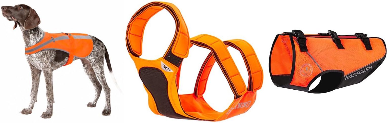 Top 5 Dog Hunting Vests: Reviews, Ratings, and Buying Guide!