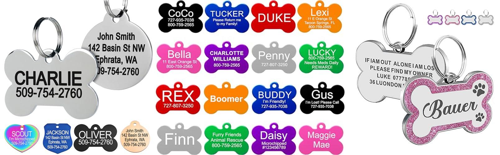 5 Best Dog ID Tags: Find the Perfect Tag for Your Furry Friend