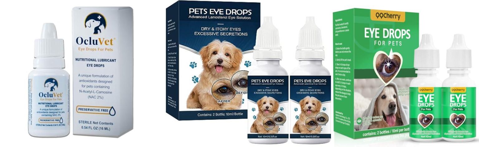 Top 5 Eye Drops For Dog Cataracts: A Veterinarian's Review
