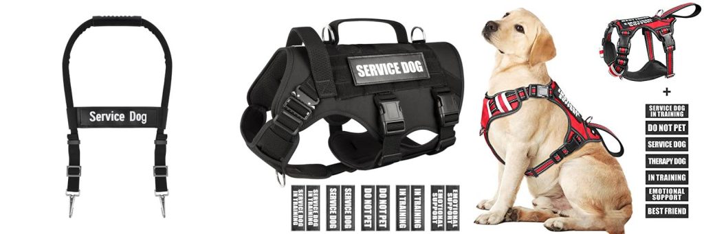 Top 5 Service Dog Harnesses Featuring a Handle: Review & Guide