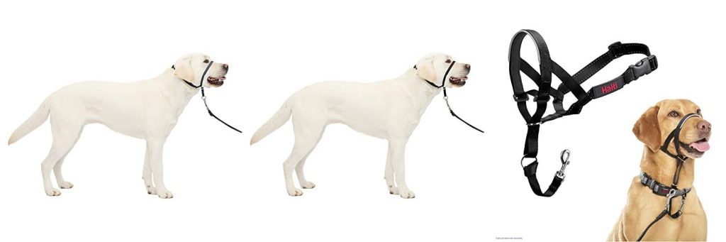 Top 5 Dog Gentle Leaders: Reviews & Buyer's Guide for Dogs