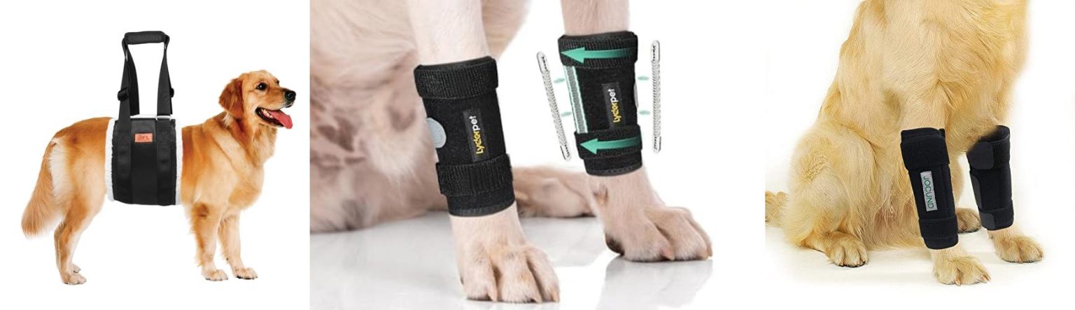 Top 5 Dog Leg Braces: Reviews & Buying Guide for Your Pup