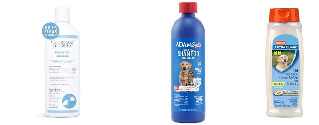 The 5 Best Dog Shampoo for Fleas and Ticks: Philippines Edition