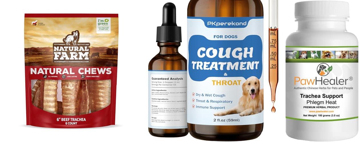 Top 5 Foods for Dogs with Collapsed Trachea: A Vet's Guide