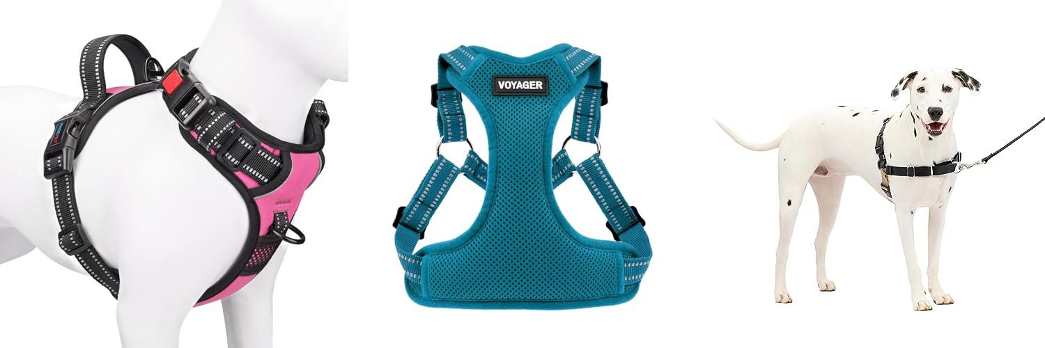 Top 5 Harnesses To Run With Your Dog: Gear Up & Go!