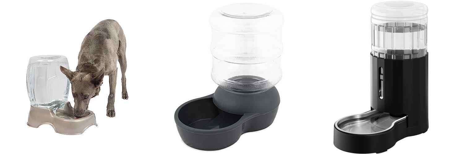 5 Best Large Dog Water Dispensers: Keep Your Giant Dog Hydrated
