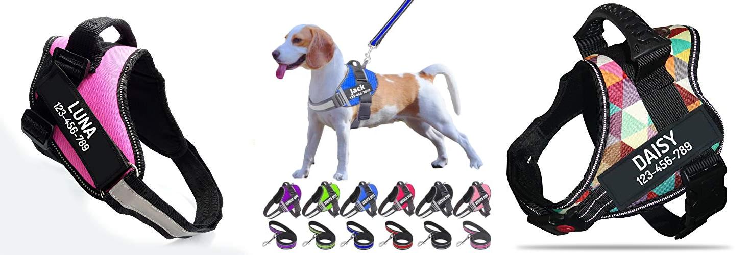 Top 5 Personalized Dog Harnesses: Reviews and Buying Guide