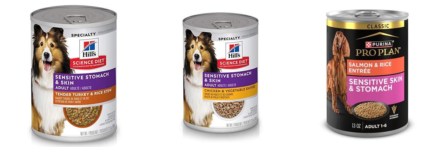 Top 5 Soft Dog Foods for Sensitive Stomachs: Reviews & Guide