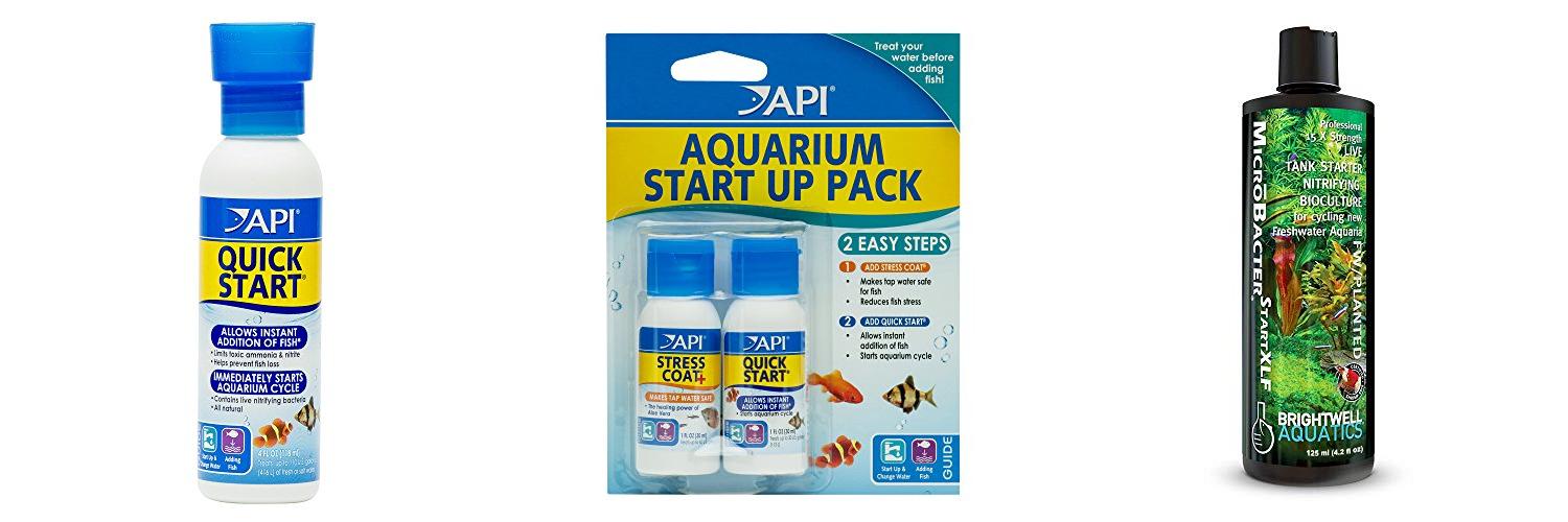 Top 5 Aquarium Starter Fish: Beginner-Friendly Species Guide