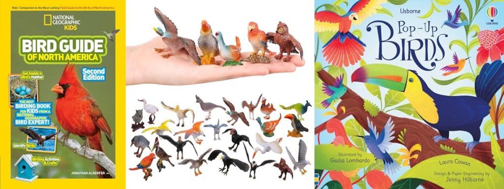 Top 5 Birds for Kids: A Beginner's Guide to Feathered Friends