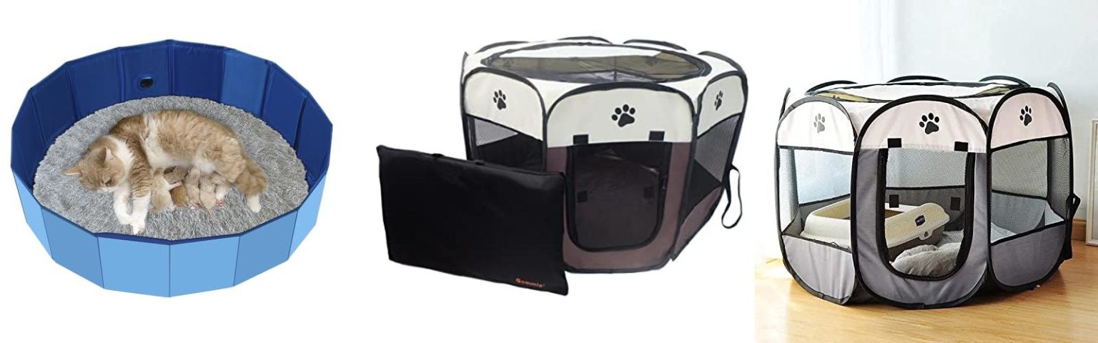 Top 5 Cat Delivery Boxes: Reviews & Buying Guide for Cats