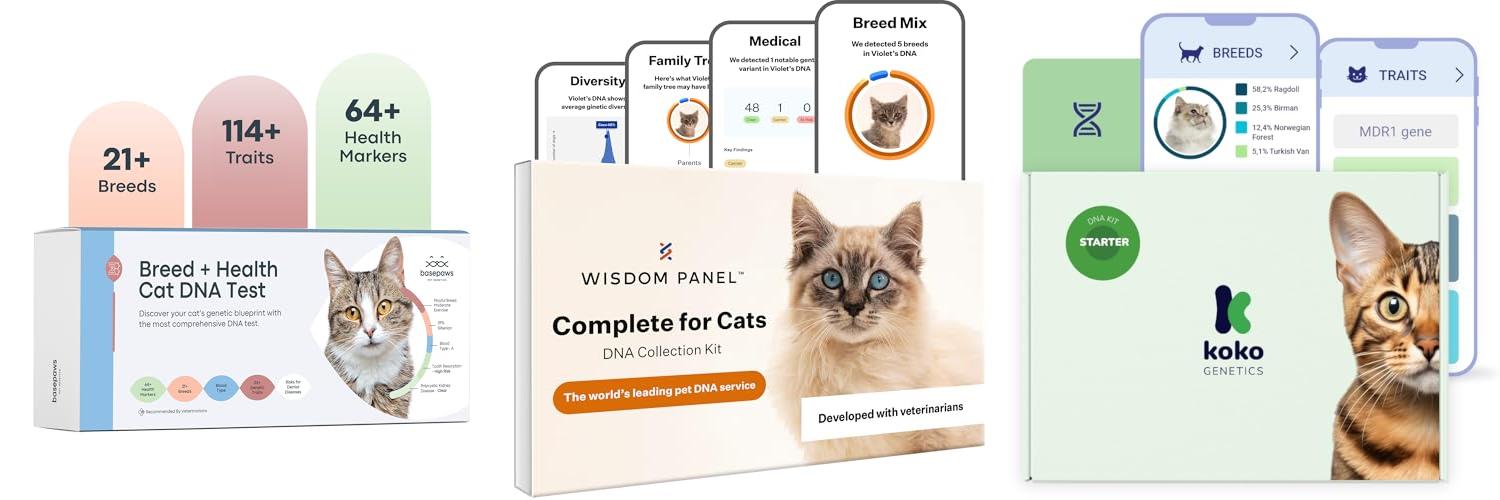 Top 5 Cat DNA Kits: Uncover Your Feline's Secrets Today!