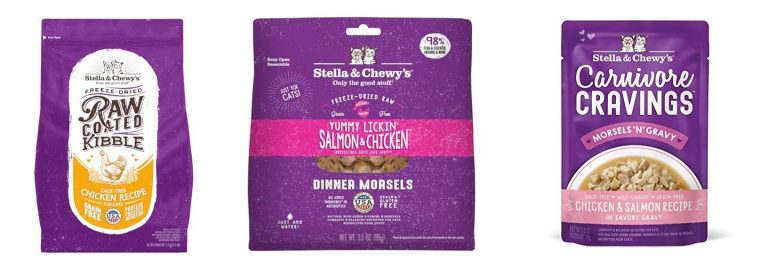 Top 5 Best Cat Foods on Chewy: Reviews & Buying Guide for Cats