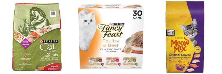 Top 5 Cat Food Subscriptions: Reviews & Buying Guide for Cats
