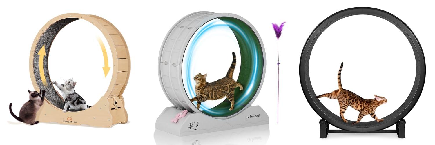Top 5 Cat Running Wheels: Reviews & Your Purrfect Choice Guide