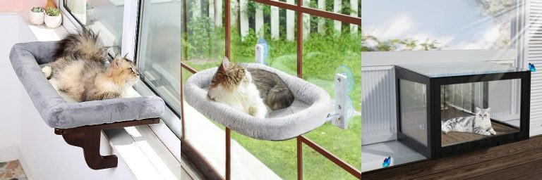 5 Best Cat Window Perches: Cozy Spots & Safe Viewing Guide