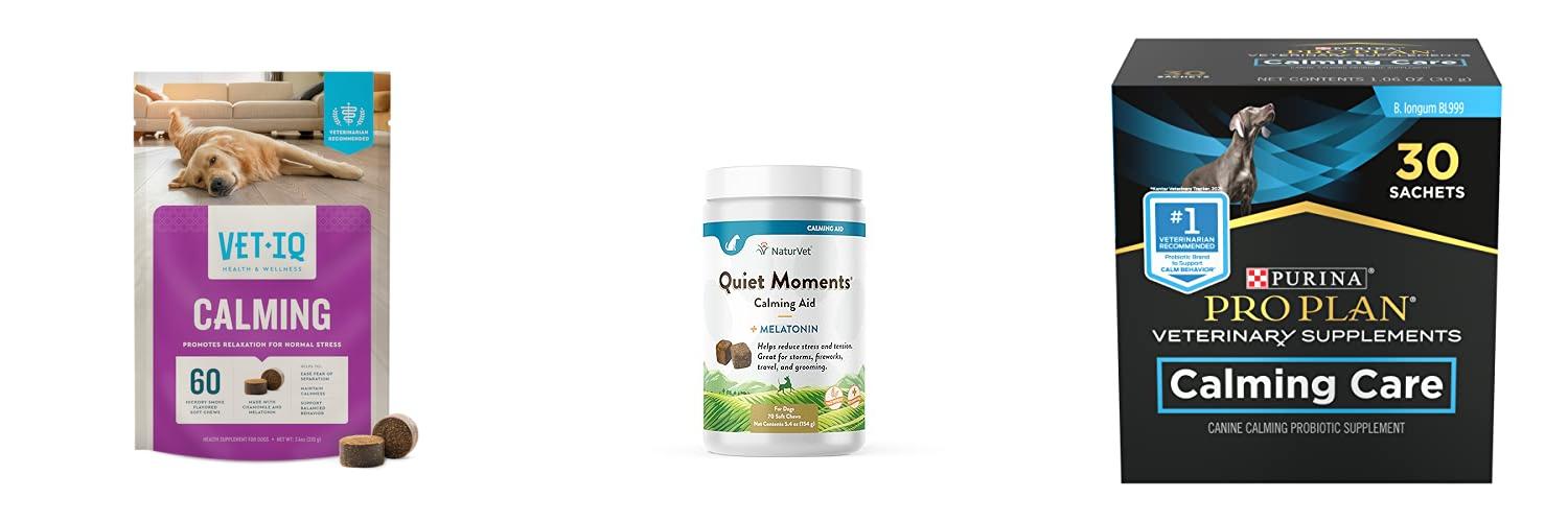 Top 5 Dog Calming Medications: Reviews & Expert Buying Guide