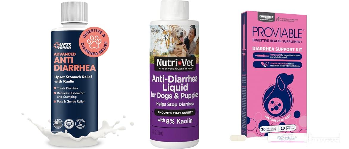 Top 5 Dog Diarrhea Remedies: A Veterinarian's Review & Guide