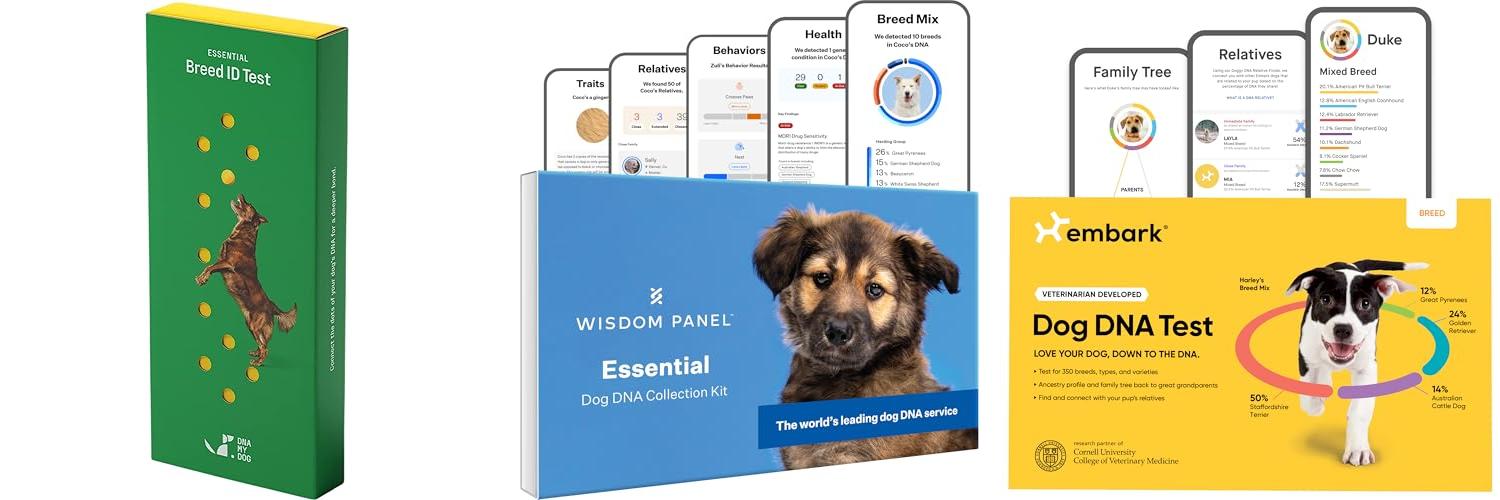 Top 5 Dog DNA Breed Tests: Uncover Your Pup's Heritage