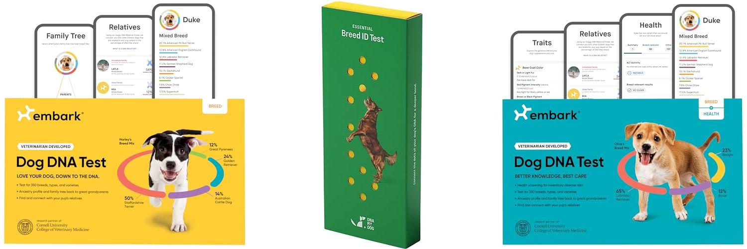 Top 5 Dog DNA Kits: Reviews & Your Breed Identification Guide