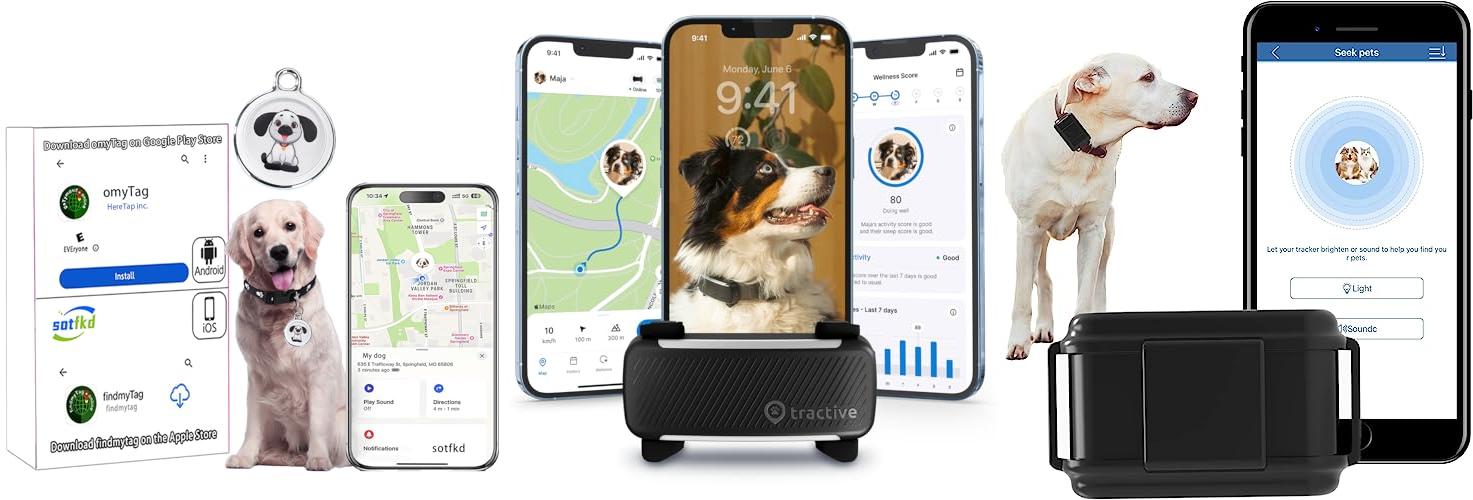 5 Best Dog GPS Trackers: No Subscription Needed - Find Your Pup!