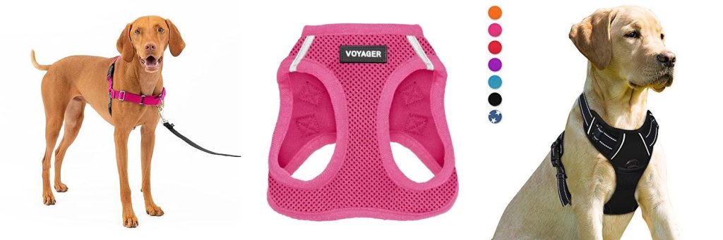Top 5 Dog Harnesses from Petsmart: Reviews & Buying Guide
