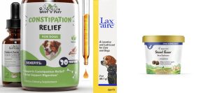 Top 5 Dog Laxatives: A Vet-Approved Buying Guide & Reviews
