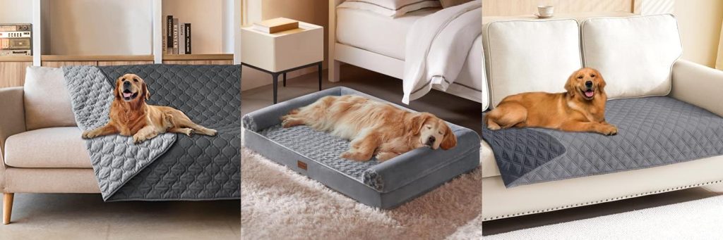 Top 5 Dog Proof Couches: Reviews & The Ultimate Guide for Owners