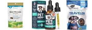 Top 5 Dog Sedatives for Travel: Reviews & Vet-Approved Guide