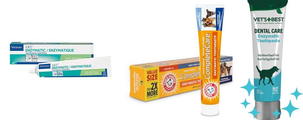 Top 5 Dog Toothpastes: Reviews & Our Vet's Recommendations