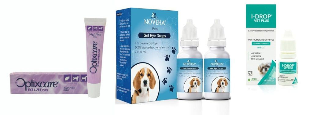Top 5 Drops for Dog Dry Eye: A Comprehensive Review Guide
