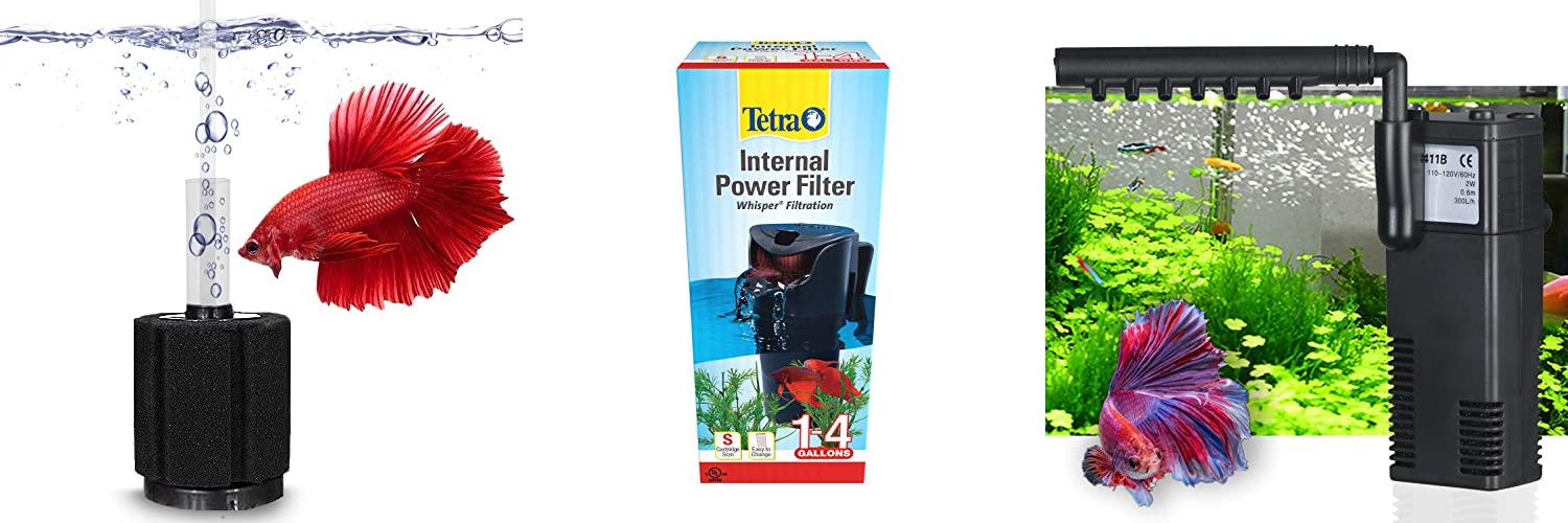 Top 5 Filters For Betta Fish: A Complete Review and Guide