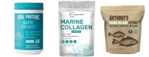 Top 5 Fish Protein Powders: Your Complete Buying Guide
