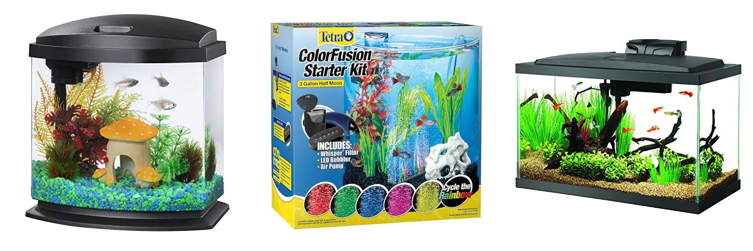 Top 5 Fish Tank Sizes for Beginners: A Beginner's Guide!