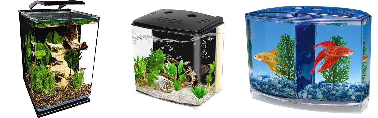 Top 5 Betta Fish Tanks: Reviews & Guide for Happy Bettas
