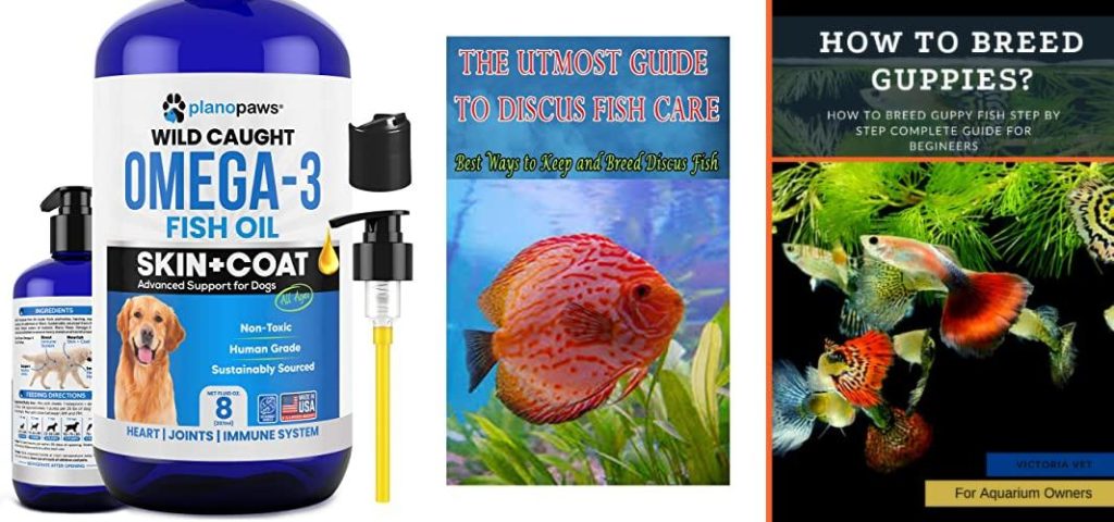 Top 5 Fish to Breed for Beginners: A Simple Guide