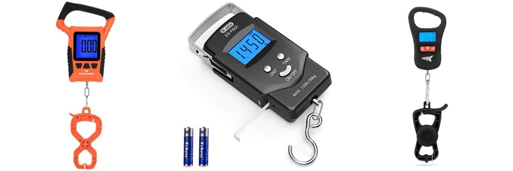 Top 5 Fish Weight Scales: Reviews & Buyer's Guide for Anglers