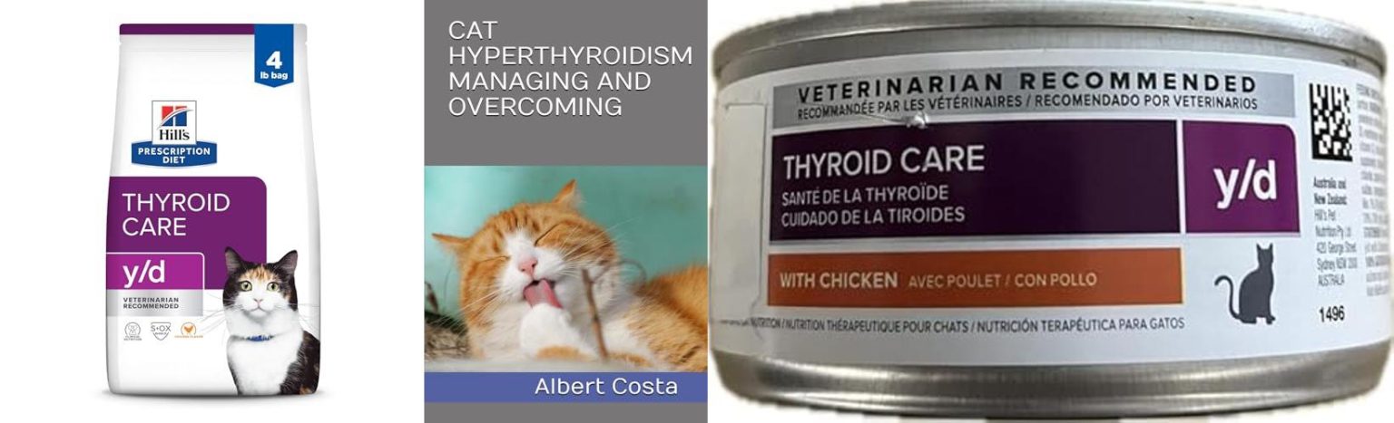 Top 5 Foods For Cats with Hyperthyroidism: A Veterinarian's Guide