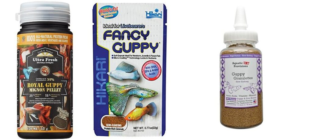 Top 5 Best Foods For Guppy Fish: A Complete Review & Guide