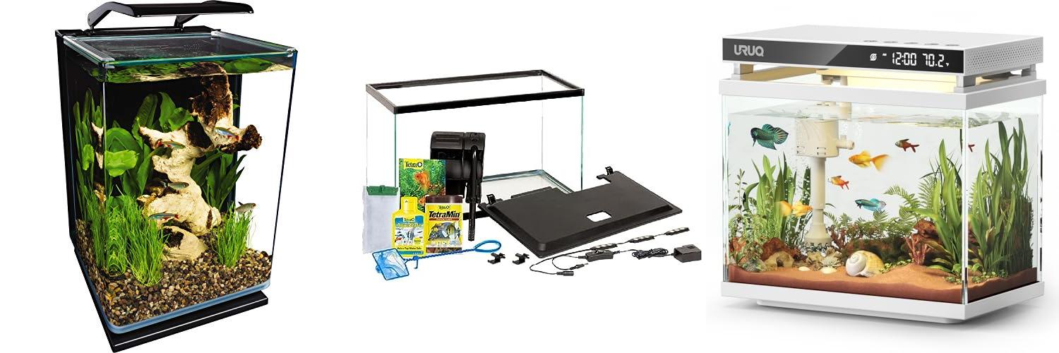 Top 5 Glass Fish Tanks: Reviews & Buying Guide for Beginners