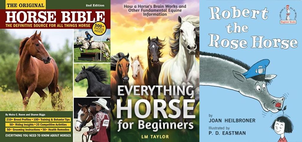 Top 5 Horse Breeds For Beginners: A Beginner's Guide & Review
