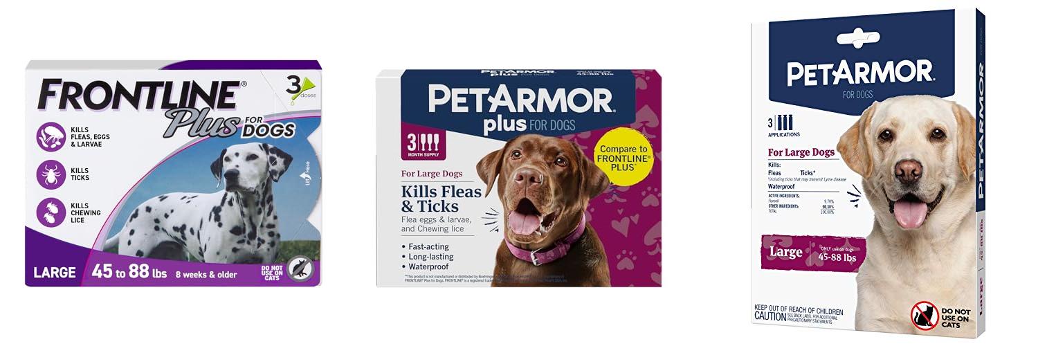 Top 5 Medicine for Dog Ticks: Reviews & Expert Recommendations