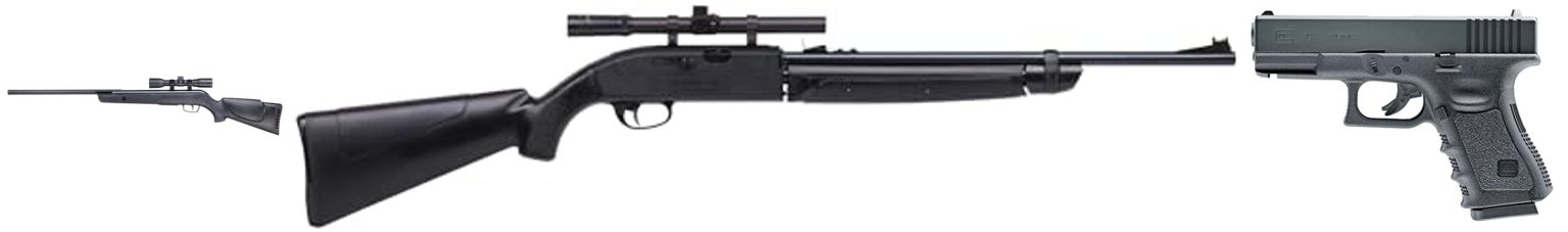 Top 5 Pellet Guns For Bird Control: Reviews & Buying Guide