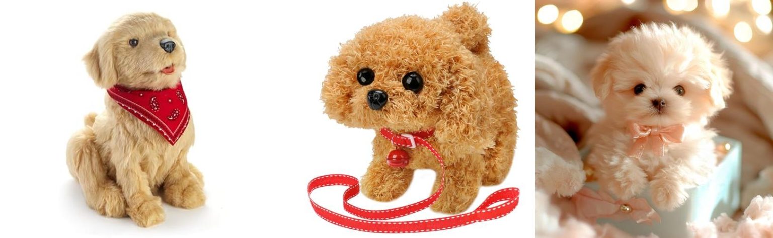 Top 5 Robotic Dogs: Reviews & The Best Smart Companion Guide